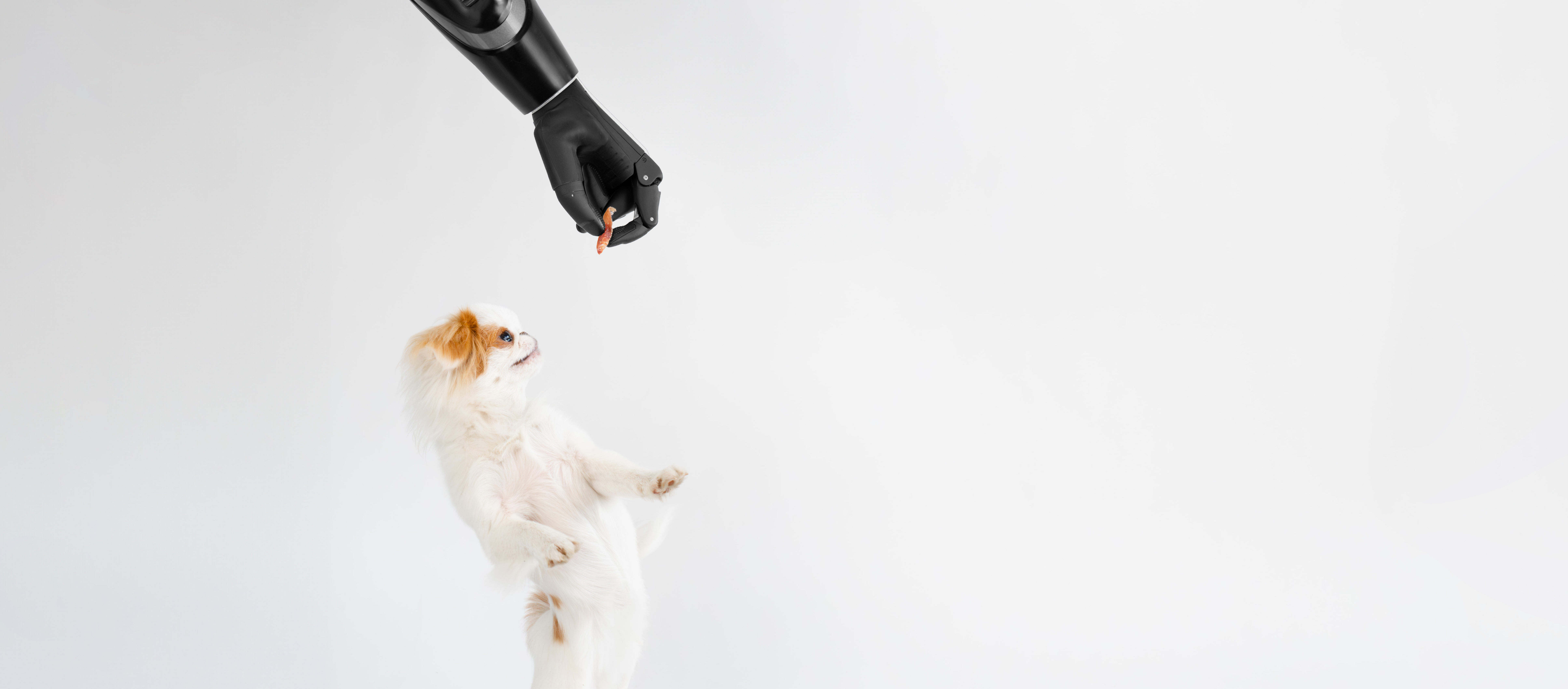 How the Zeus Bionic Hand Helps Rebuild Connection: Reconnecting Through ...