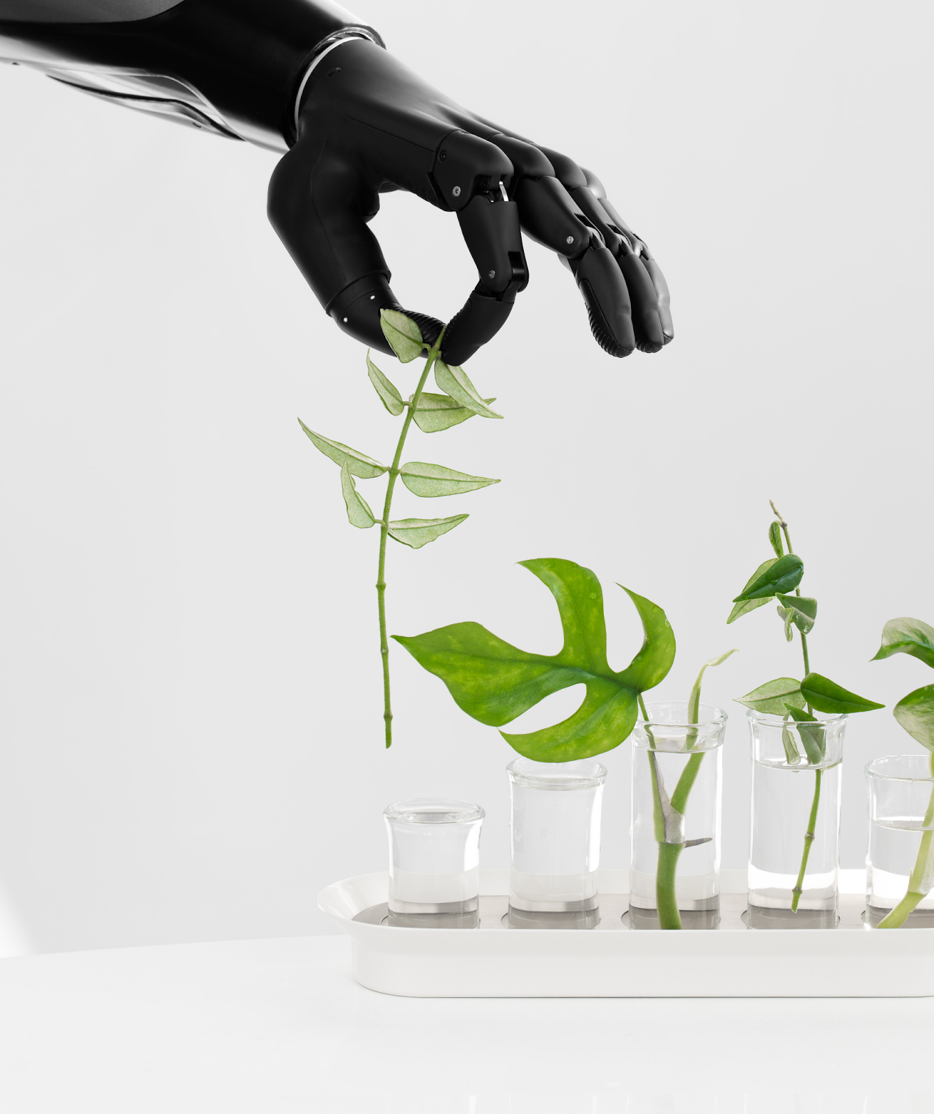 Zeus Hand: Enhancing Patient Outcomes